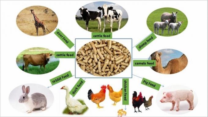 Cattle Pig Livestock Feed Production Line 5 Ton Per Hour Maximum Output
