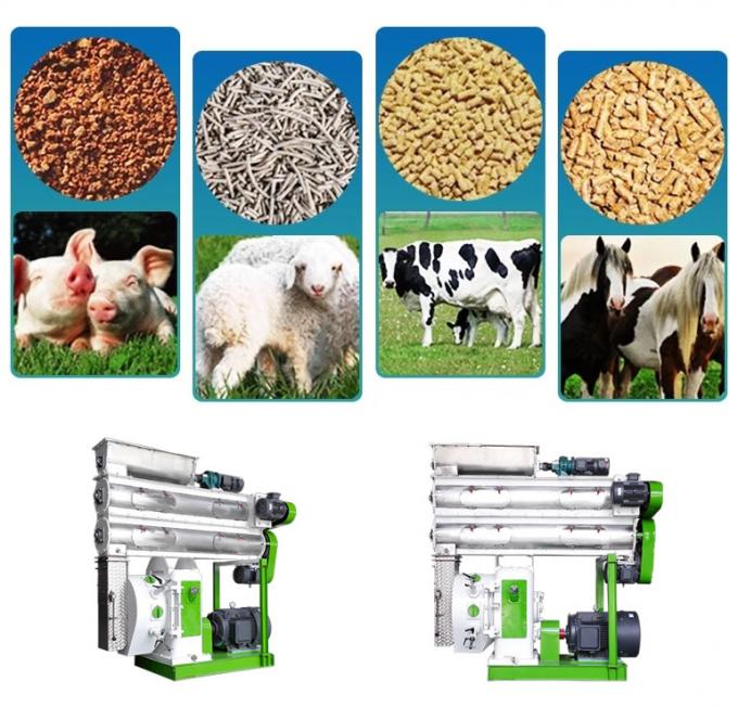 CE Animal Feed Making Machine SKF Bearing Animal Feed Processing Equipment